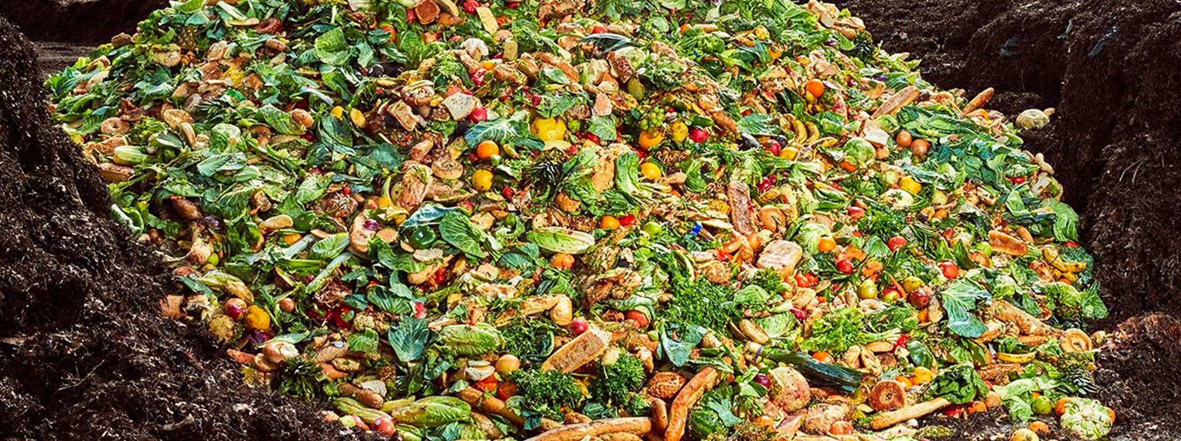 American Organic Energy to Recycle Food Waste into Clean Energy with ...