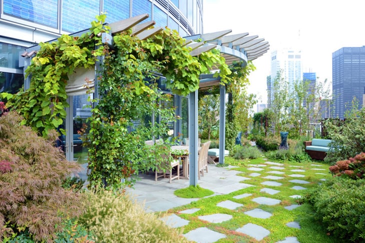 What Are Green Roofs? | American Organic Energy